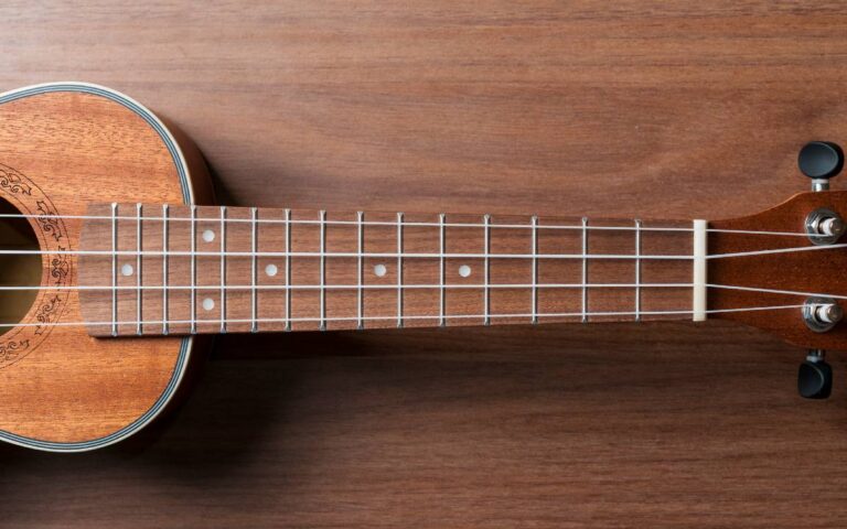 What's the Best Wood for Ukulele? Choosing Ukulele Wood Types